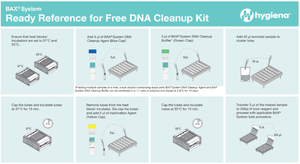 DNA CleanUp Kit